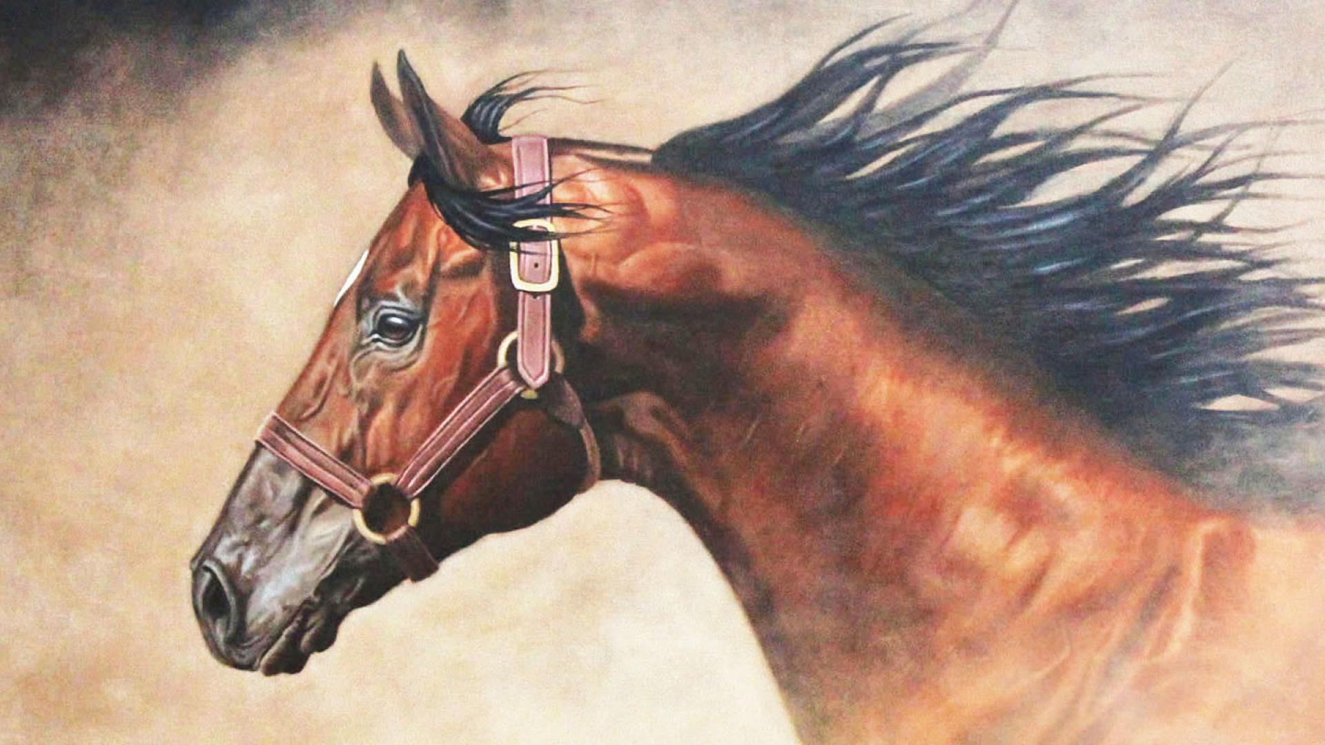 Partial - James Zhao