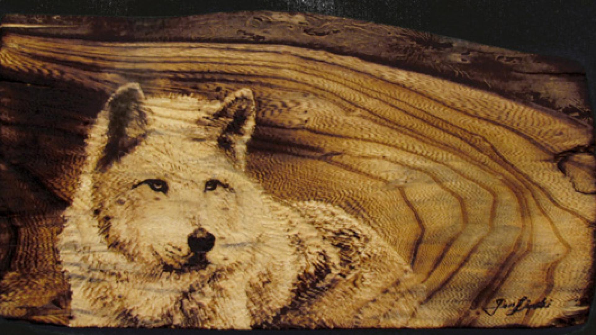 Partial - Jen Lipski