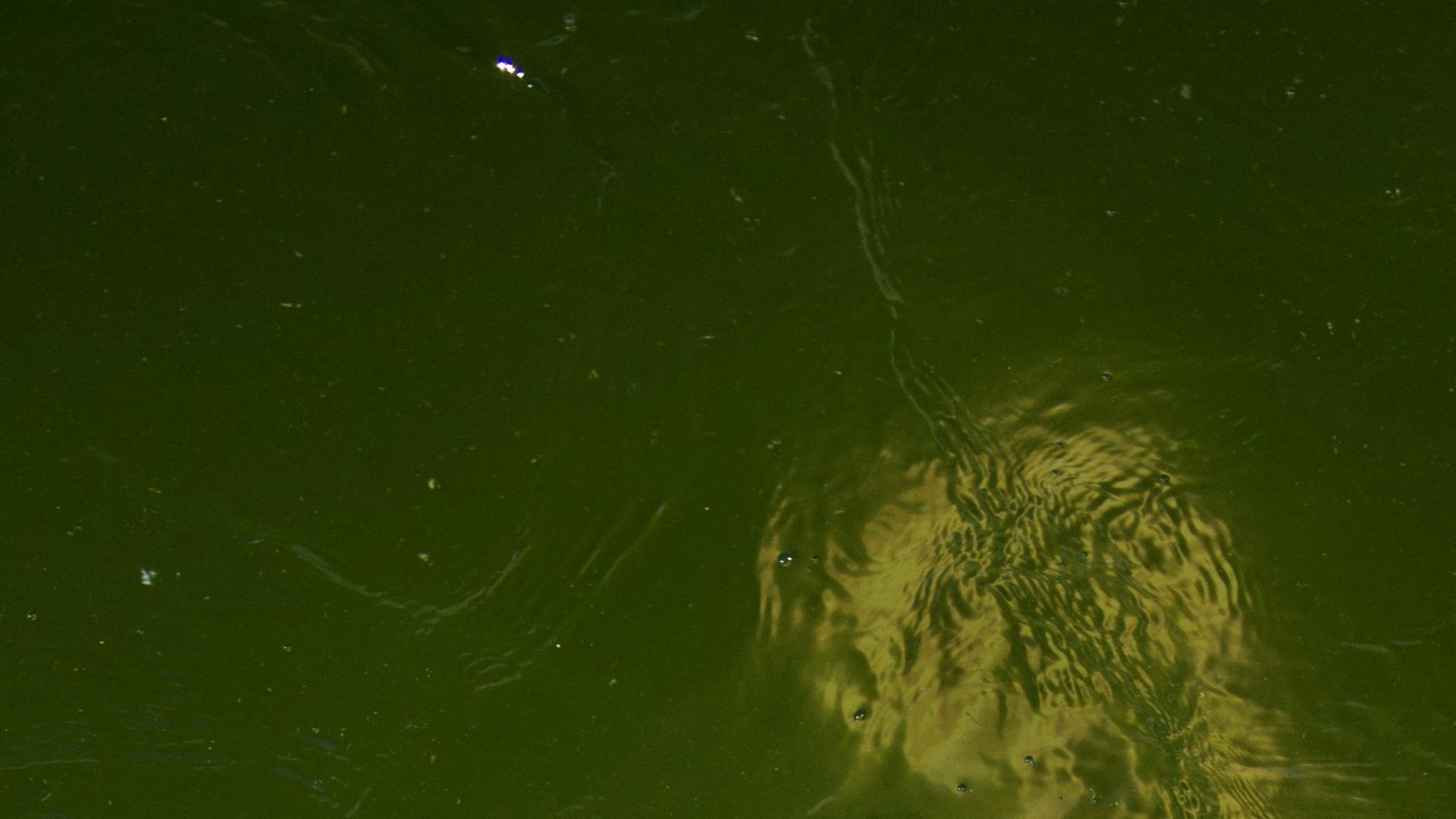 Partial - Ketty Haolin Zhang