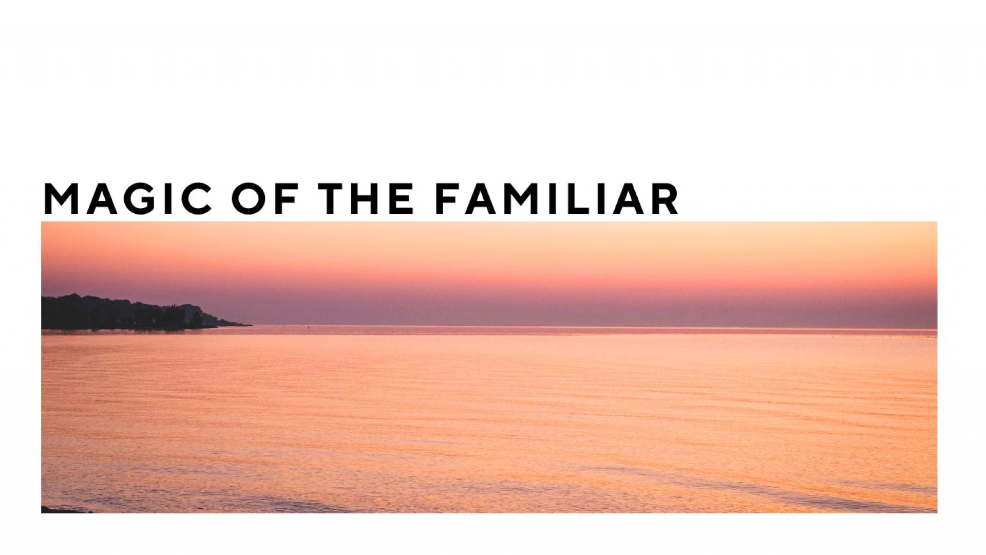 Partial - Srini Balram