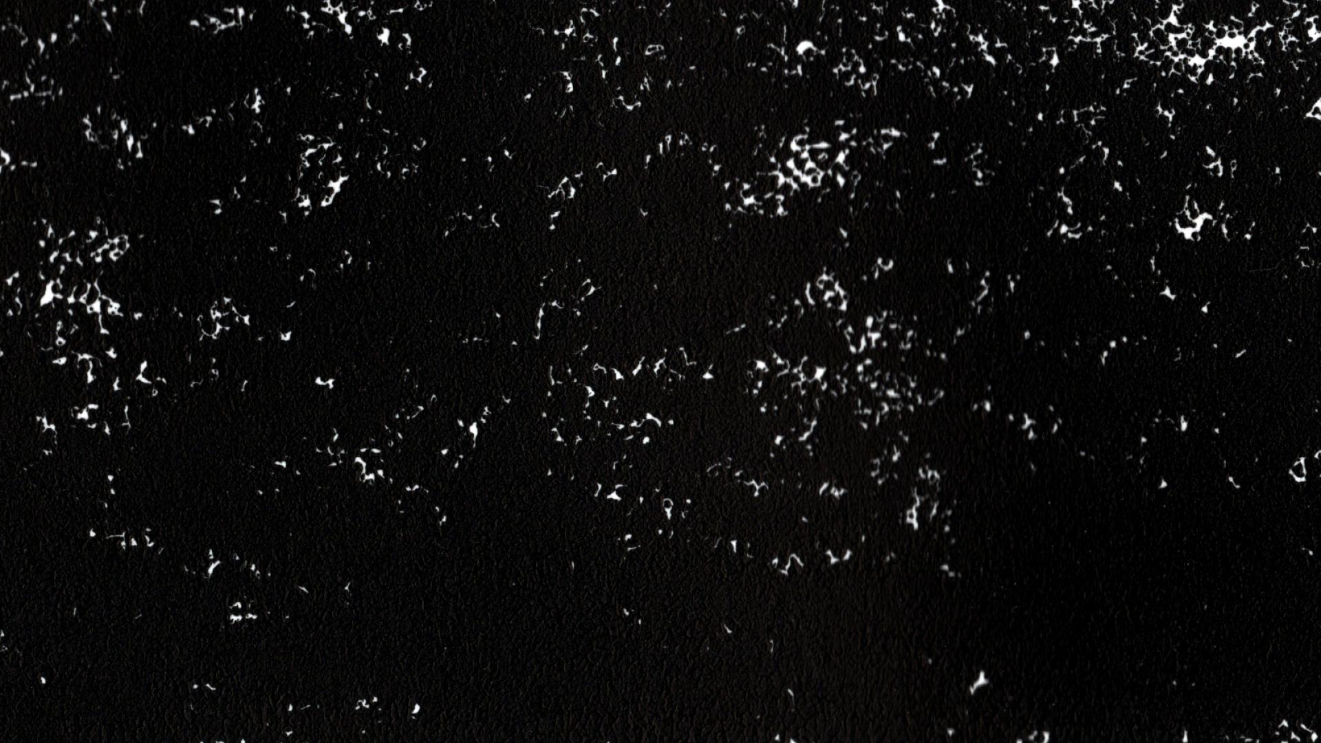 Partial - Nicholas Fox